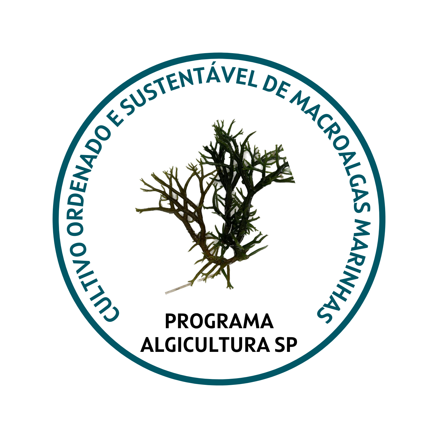Programa Algicultura | Instituto de Pesca